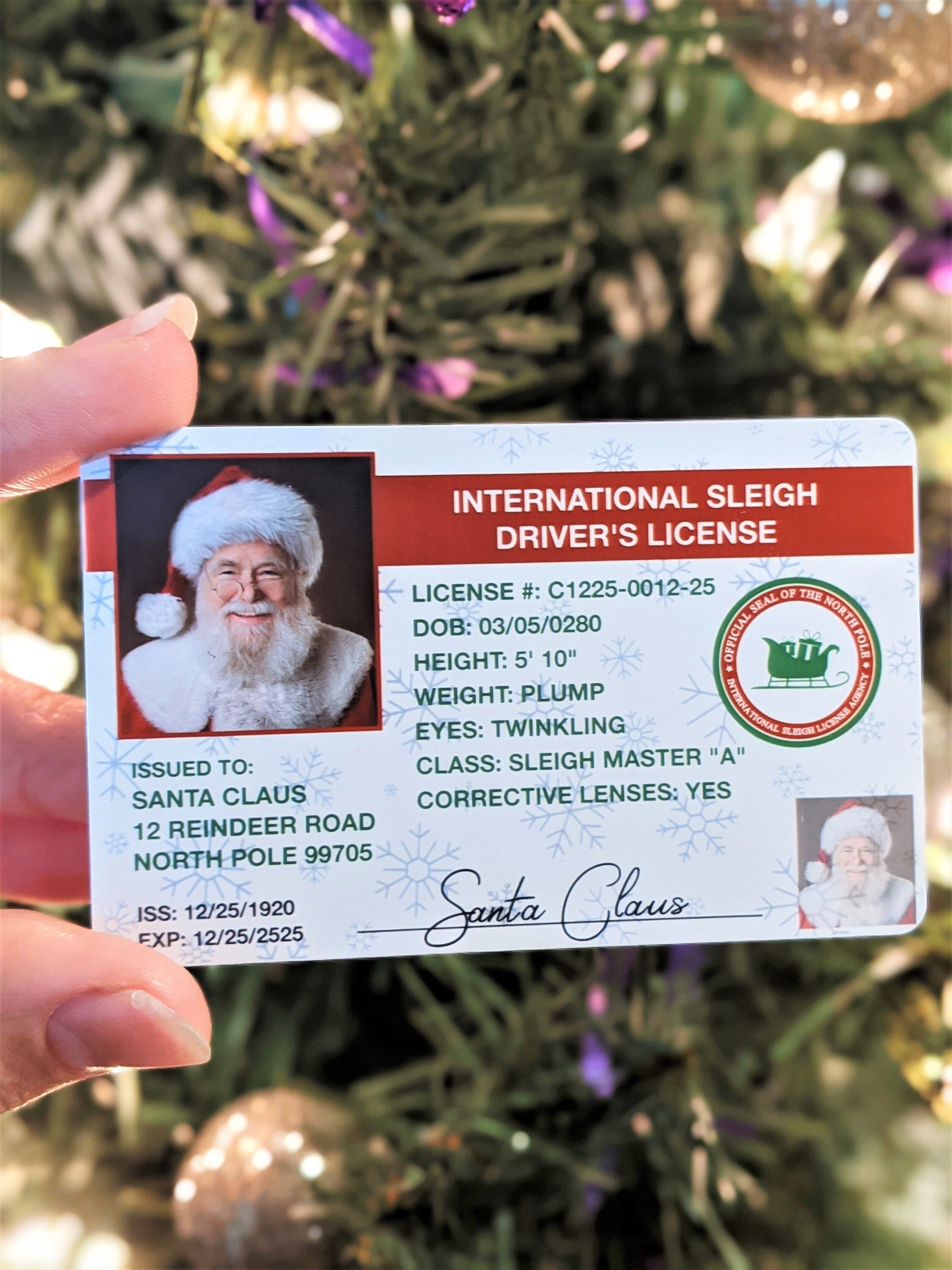 Santa Driver's License Christmas Gift for Kids Santa - Etsy
