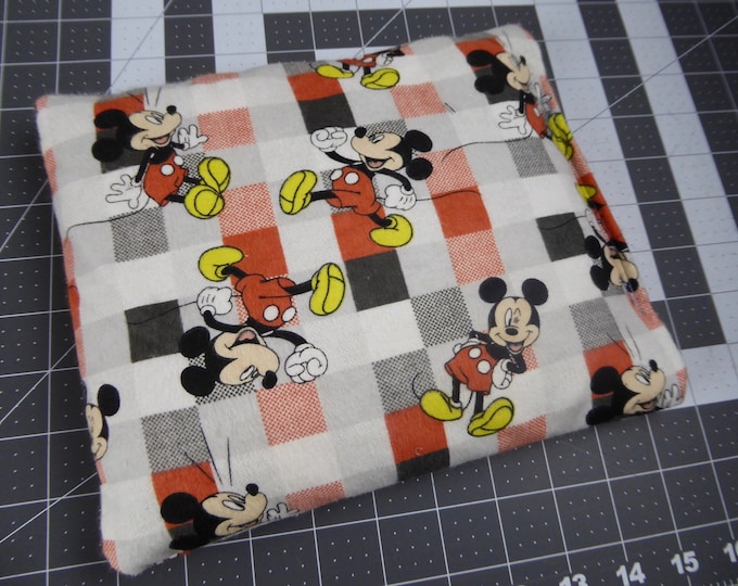 Reusable Ice Pack/ Run Disney/ Fish Extender Gifts/fe Gifts/cabin Gifts ...