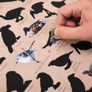 Bird Watching - SCRATCH OFF POSTER (18” X 24” - Made in North America ...