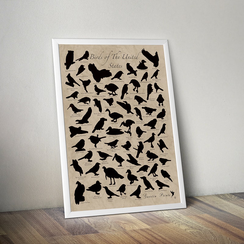 Bird of Maryland Poster - Etsy