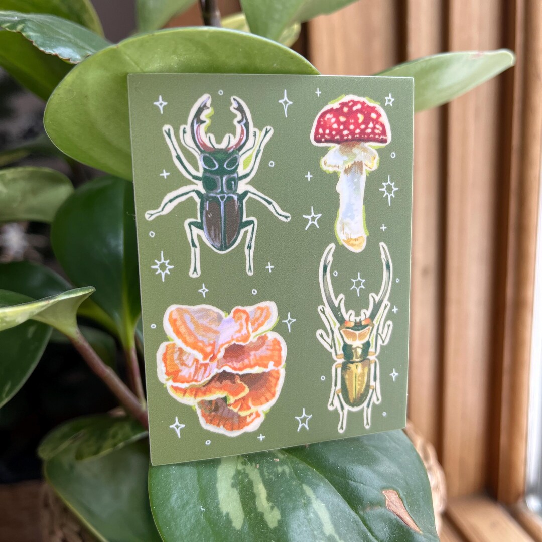 Bugs N Mush - Vinyl Sticker | Waterproof Weatherproof | Beetles Insects ...