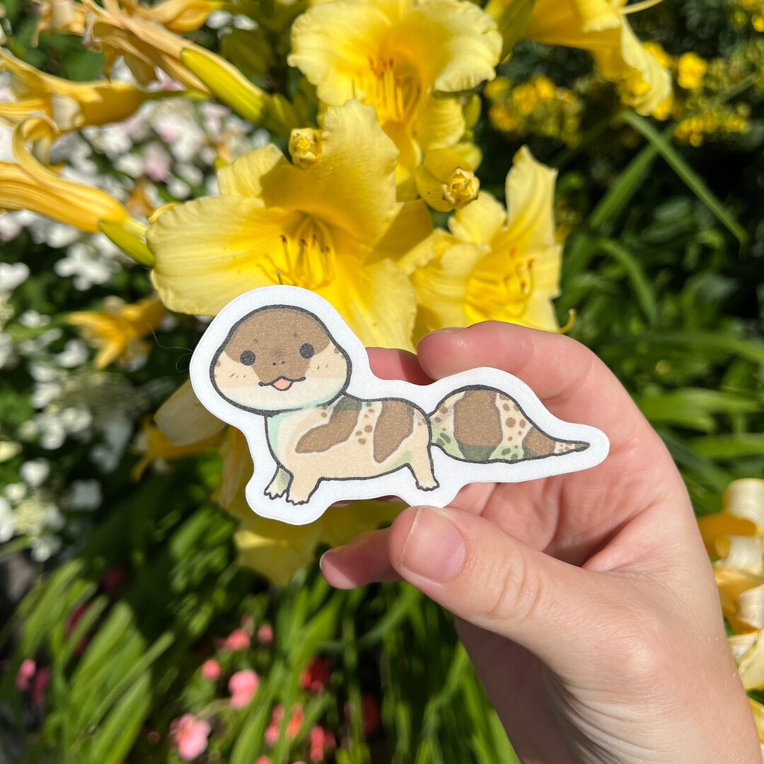 African Fat Tail Gecko - Vinyl Sticker | Waterproof Weatherproof Matte ...