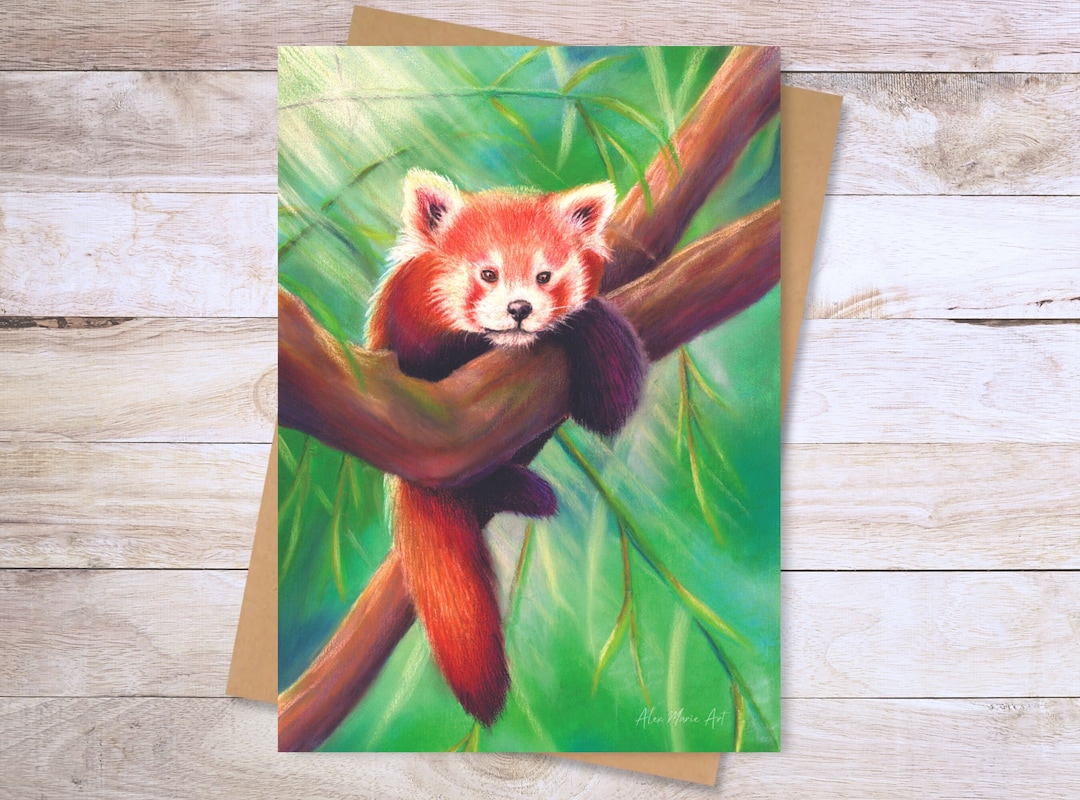 Red Panda Greetings Card for Any Occasion - Etsy