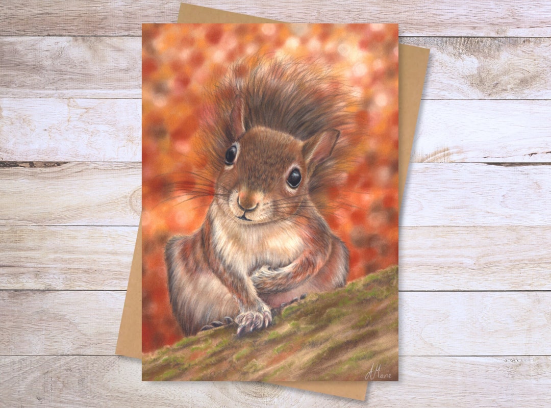 Squirrel Greetings Card for Any Occasion - Etsy