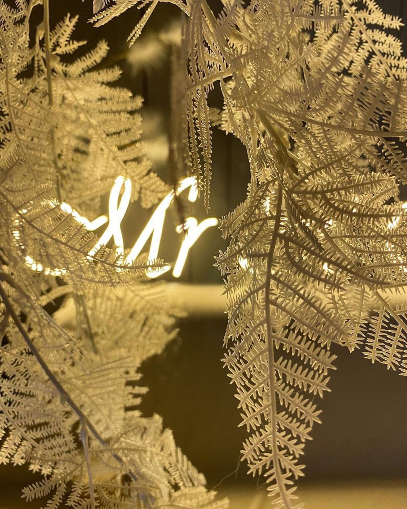 Mr and Mrs Neon Sign,mr and Mrs Led Sign,mr and Mrs Light Sign,mr and ...