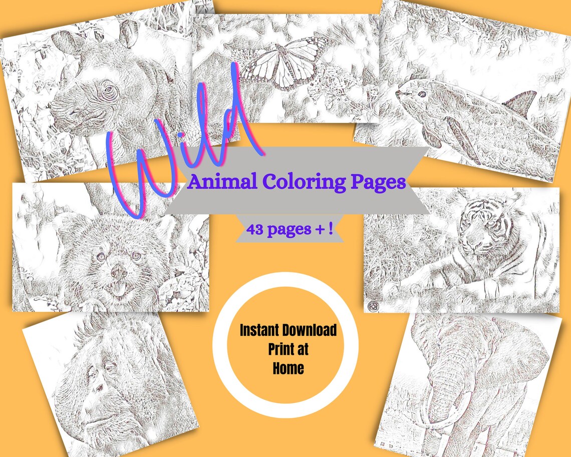 Printable Animal Coloring Pages, Kids Party Games, Homeschool ...