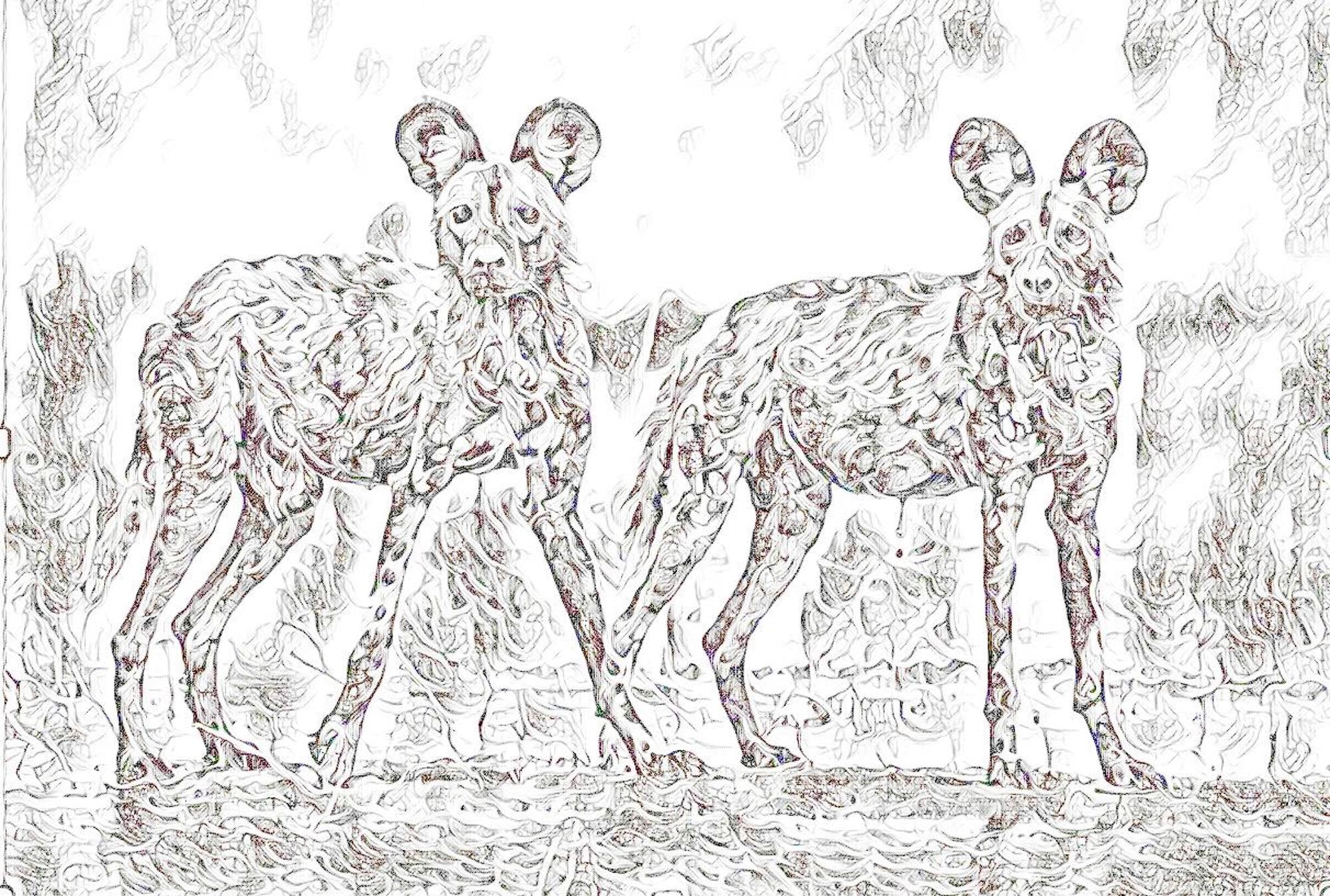 Printable Animal Coloring Pages, Kids Party Games, Homeschool ...