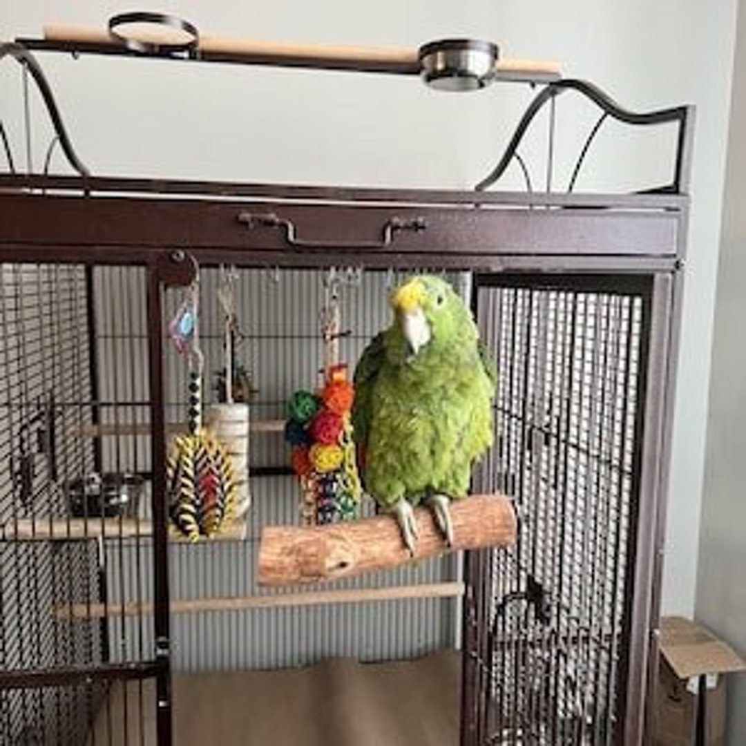 Set of Two Large Natural Bird Perches, Wood Parrot Toy, Macaw Toy ...