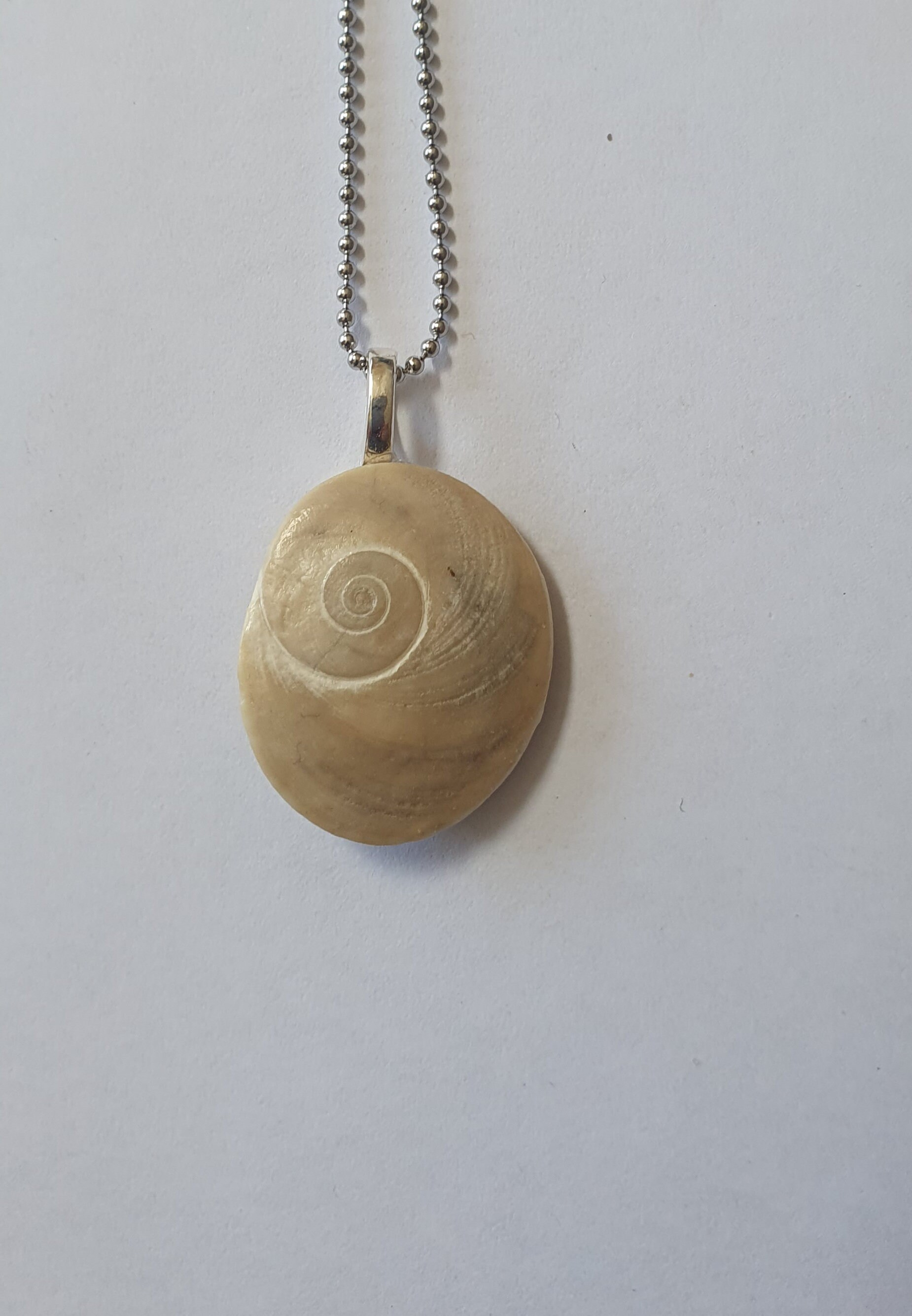 Shiva Shell Pendants - Etsy