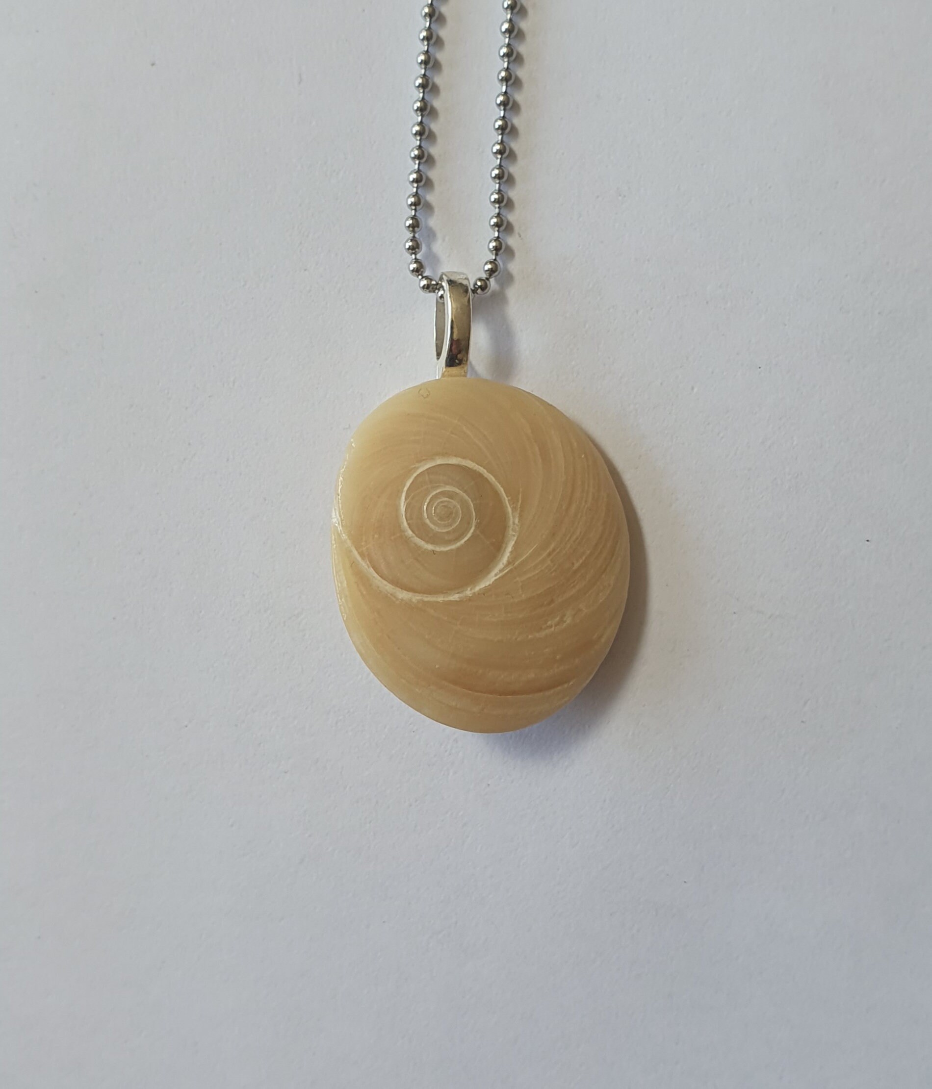 Shiva Shell Pendants - Etsy