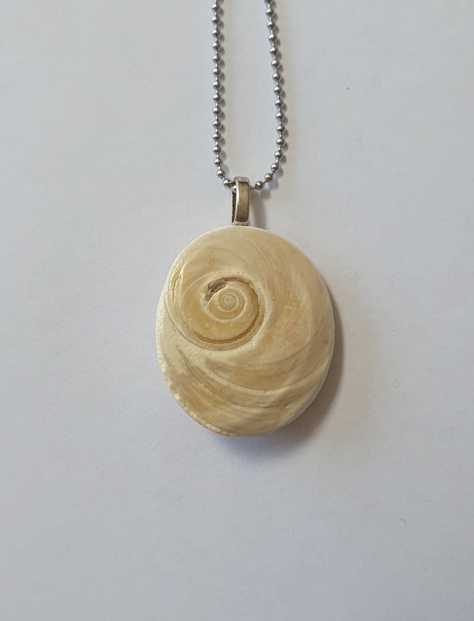 Shiva Shell Pendants - Etsy