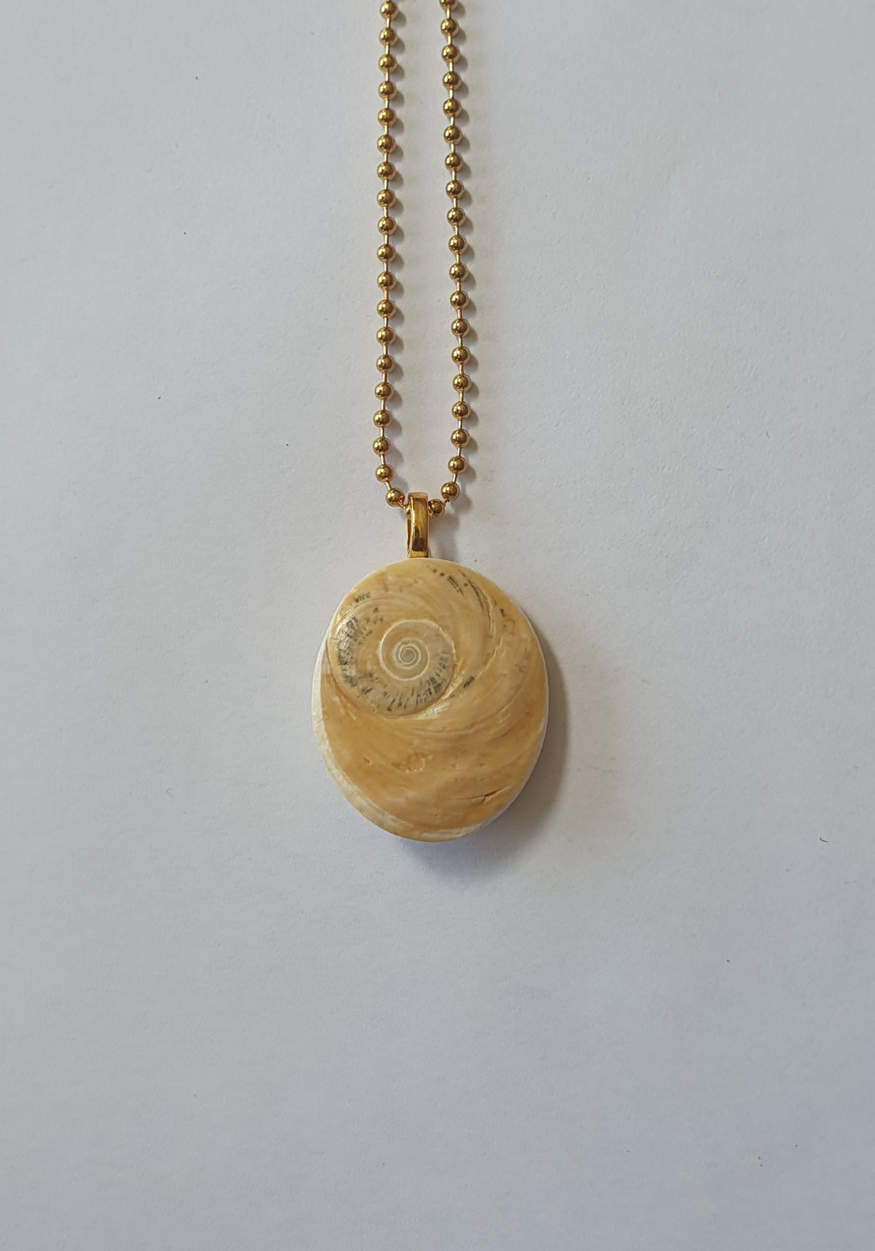 Shiva Shell Pendants - Etsy