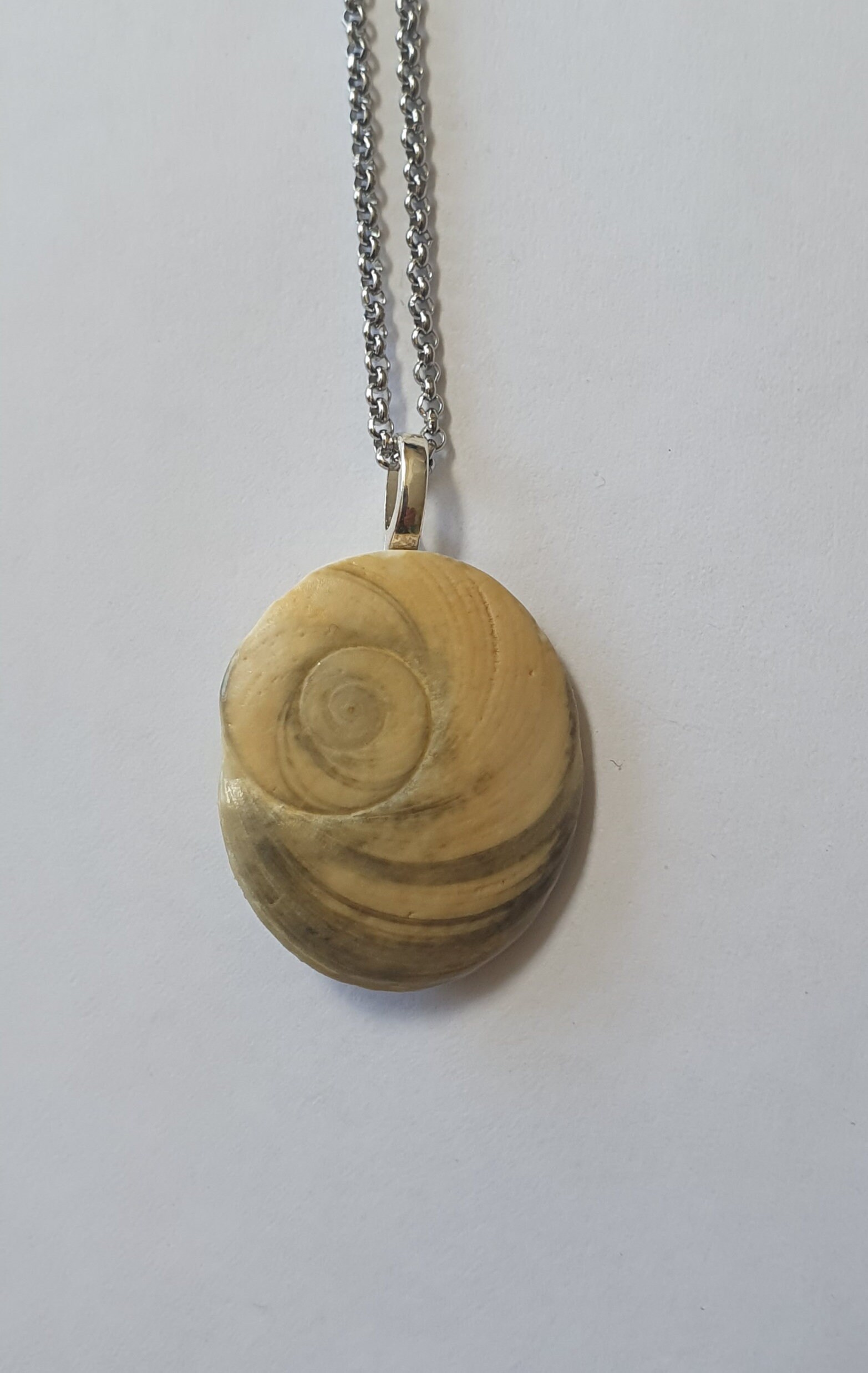 Shiva Shell Pendants - Etsy