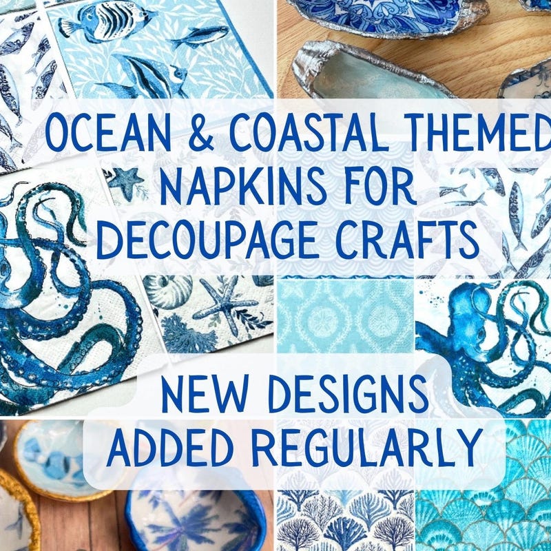 Seashells of Ct - Etsy