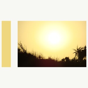 Brand Color Palette, Website Colors, Social Branding, Hex Codes, Green ...