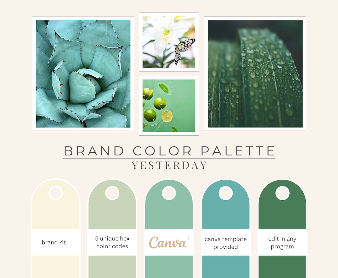 Brand Color Palette, Website Colors, Social Branding, Hex Codes, Green ...