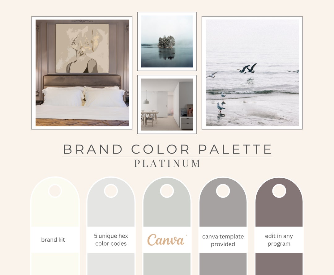 Brand Color Palette, Hex Codes, Branding Board, Color Scheme, Silver ...