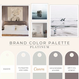 Brand Color Palette, Hex Codes, Branding Board, Color Scheme, Silver ...