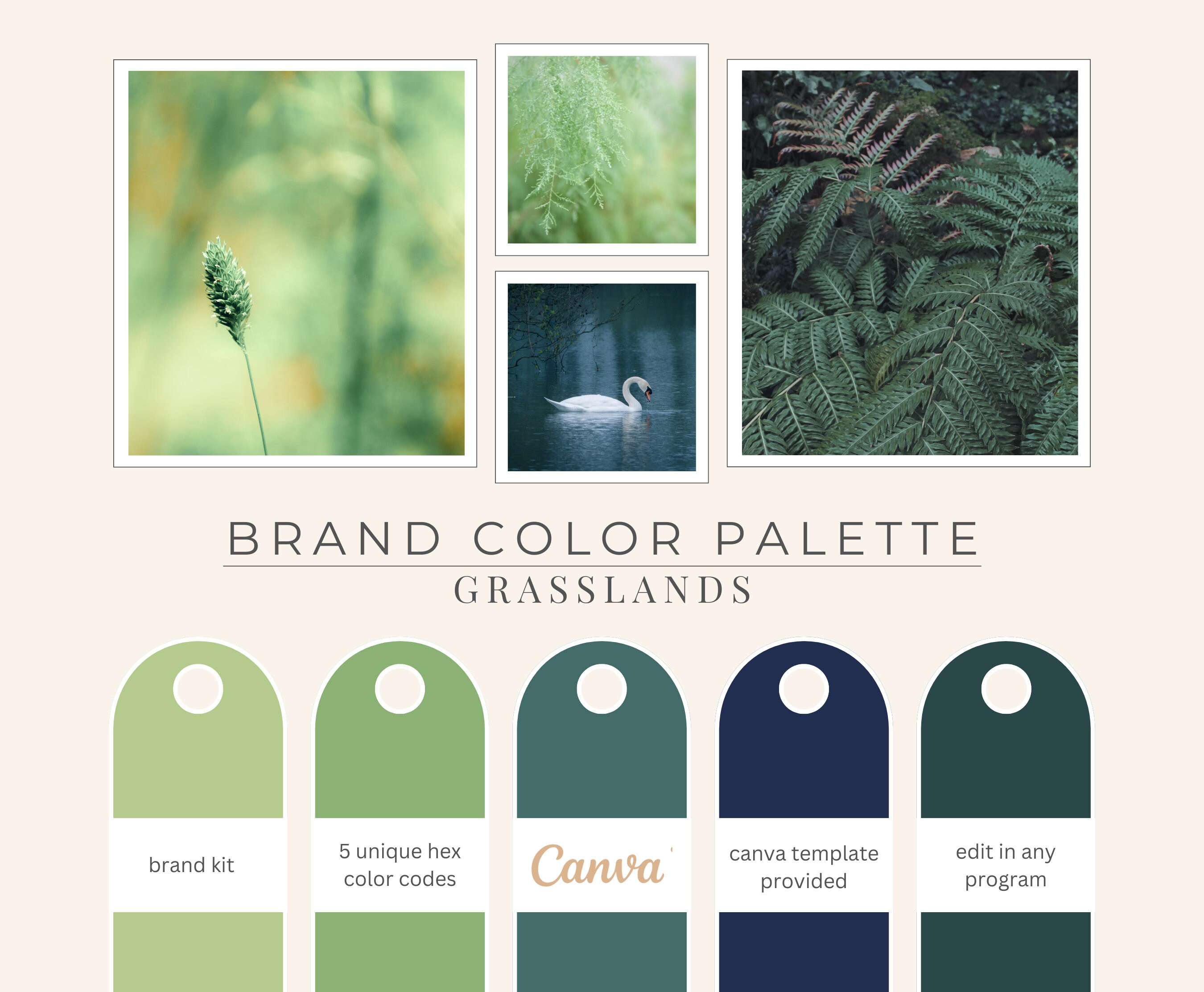 Brand Color Palette, Hex Codes, Branding Board, Color Scheme, Ocean ...