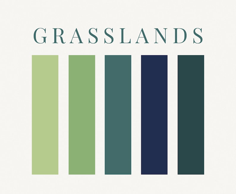 Brand Color Palette, Hex Codes, Branding Board, Color Scheme, Ocean ...