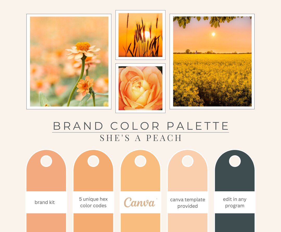 Brand Color Palette, Hex Codes, Branding Board, Color Scheme, Party ...