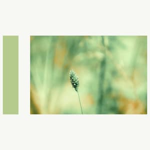 Brand Color Palette, Hex Codes, Branding Board, Color Scheme, Ocean ...