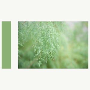 Brand Color Palette, Hex Codes, Branding Board, Color Scheme, Ocean ...