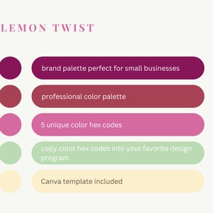 Brand Color Palette, Hex Codes, Branding Board, Color Scheme, Pinks ...