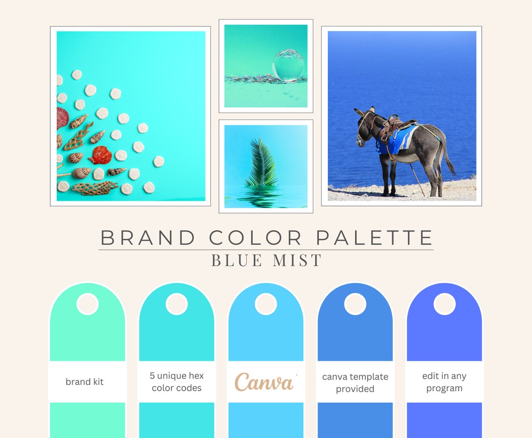 Brand Color Palette, Hex Codes, Branding Board, Color Scheme, Shades of ...