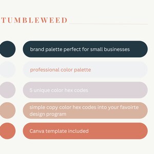 Brand Color Palette, Hex Codes, Mediterranean Palette, Branding Board ...