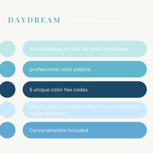 Brand Color Palette, Hex Codes, Branding Board, Color Scheme, Shades of ...