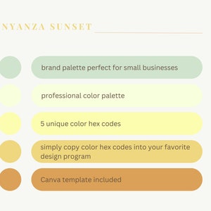 Brand Color Palette, Website Colors, Social Branding, Hex Codes, Green ...