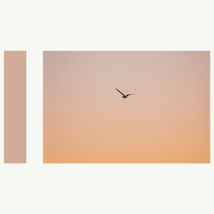 Brand Color Palette, Hex Codes, Green Palette, Branding Board, Color ...