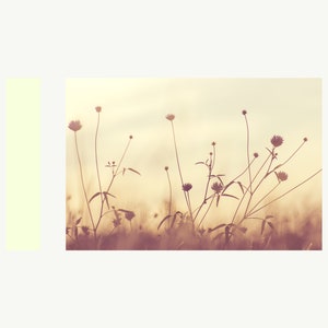 Brand Color Palette, Website Colors, Social Branding, Hex Codes, Green ...