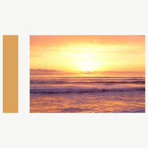 Brand Color Palette, Website Colors, Social Branding, Hex Codes, Green ...