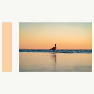 Brand Color Palette, Hex Codes, Branding Board, Color Scheme, Website ...