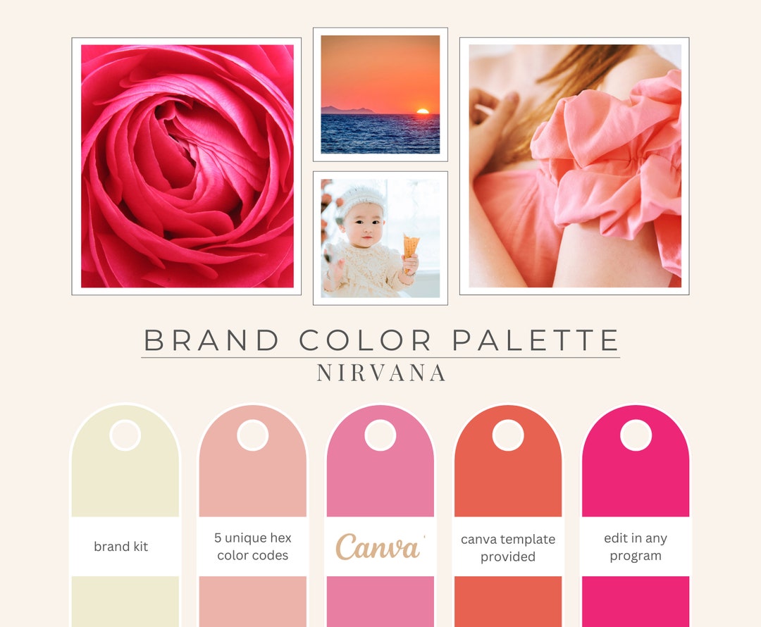 Brand Color Palette, Hex Codes, Branding Board, Color Scheme, Party ...