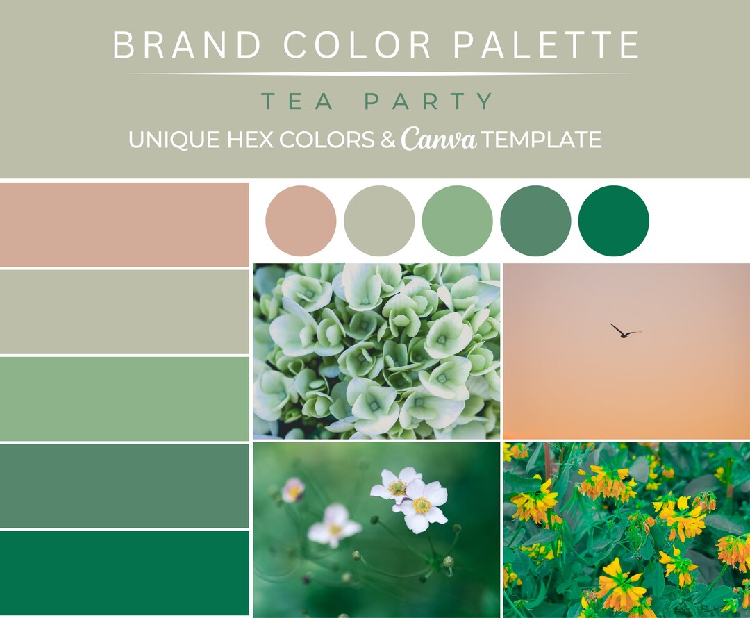 Brand Color Palette, Hex Codes, Green Palette, Branding Board, Color ...