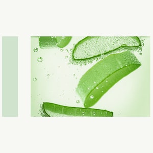 Brand Color Palette, Website Colors, Social Branding, Hex Codes, Green ...