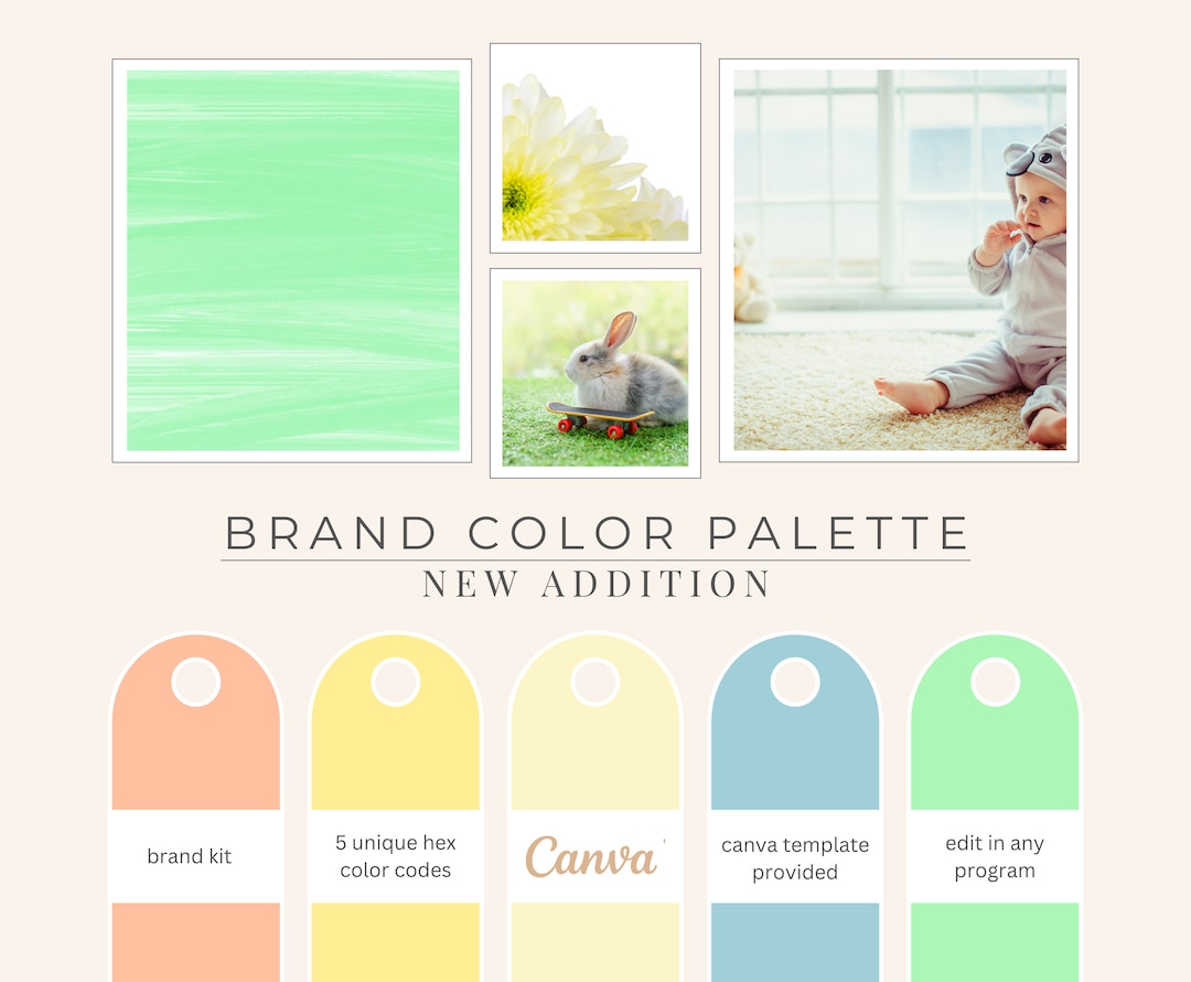 Brand Color Palette, Hex Codes, Branding Board, Color Scheme, Yellows ...