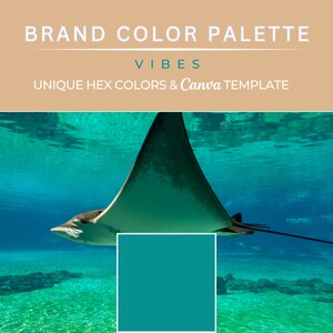 Brand Color Palette, Hex Codes, Sea Palette, Branding Board, Color ...