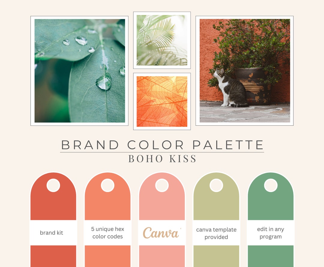 Boho Color Palette, Hex Codes, Branding Board, Color Scheme, Orange ...