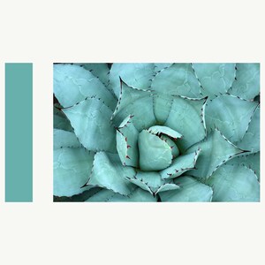 Brand Color Palette, Website Colors, Social Branding, Hex Codes, Green ...