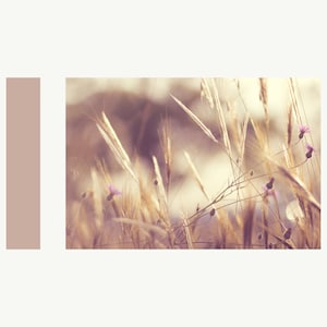 Brand Color Palette, Hex Codes, Green Palette, Branding Board, Color ...