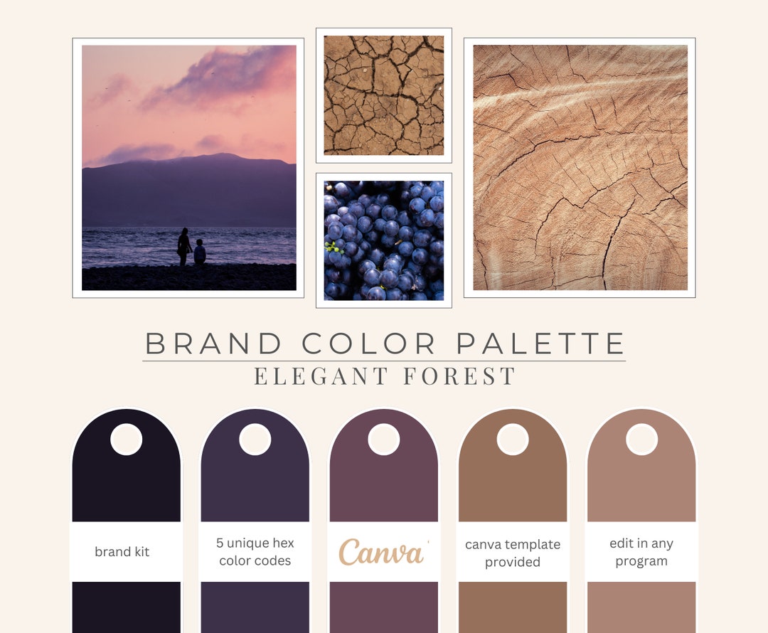 Brand Color Palette, Hex Codes, Branding Board, Color Scheme, Purples ...