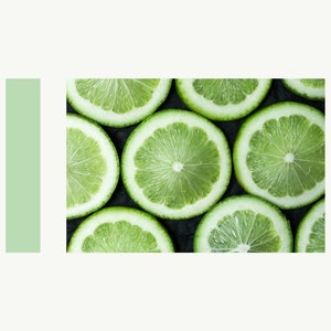 Brand Color Palette, Hex Codes, Branding Board, Color Scheme, Pinks ...