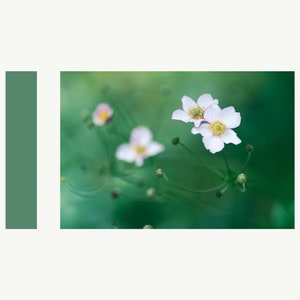 Brand Color Palette, Hex Codes, Green Palette, Branding Board, Color ...