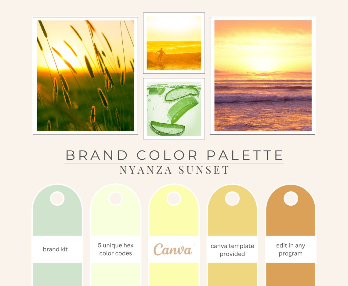 Brand Color Palette, Website Colors, Social Branding, Hex Codes, Green ...