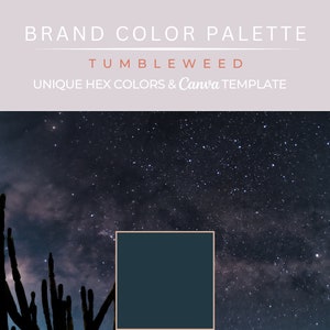 Brand Color Palette, Hex Codes, Mediterranean Palette, Branding Board ...