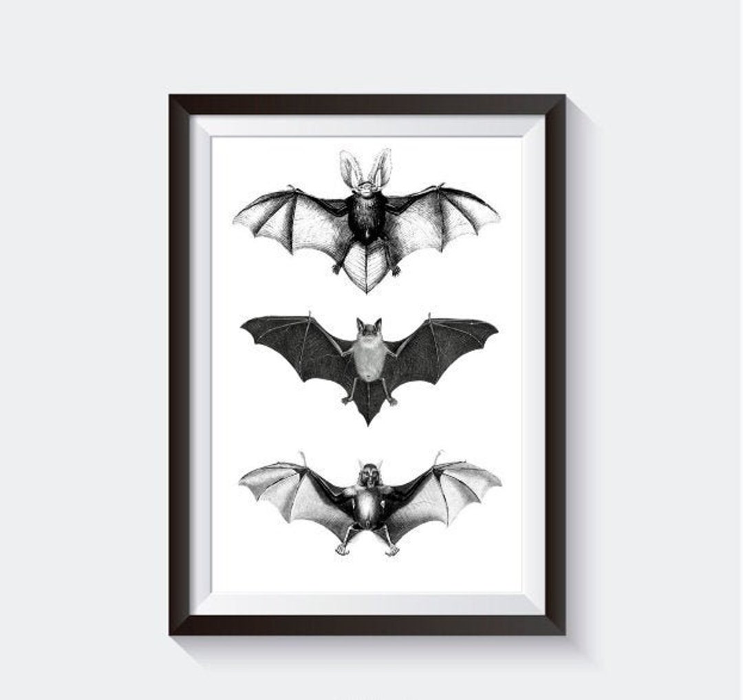 Halloween Art, Vintage Bats, Gothic Art, Download Digital Print ...